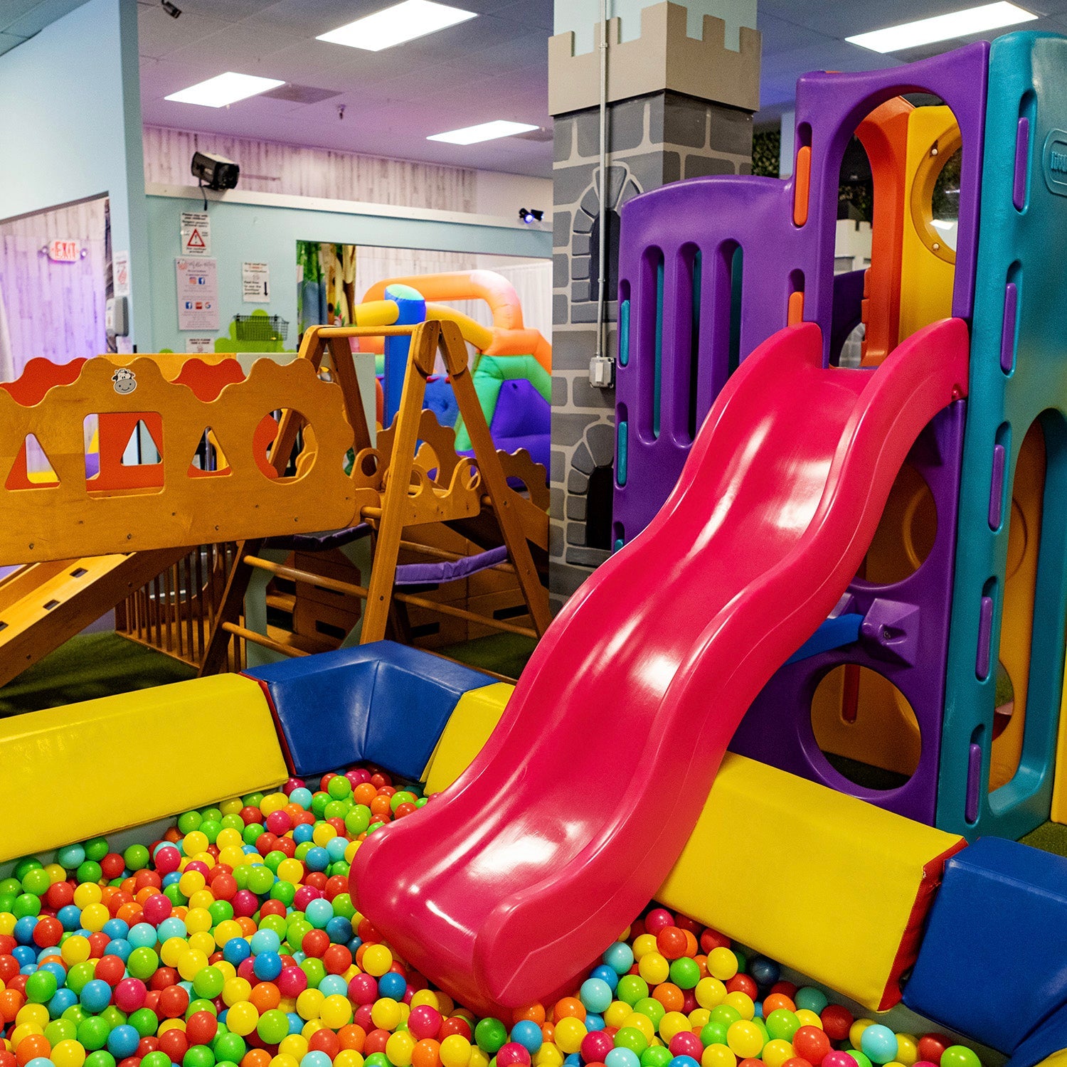 Millie Moo's VIP – Millie Moo's Orlando